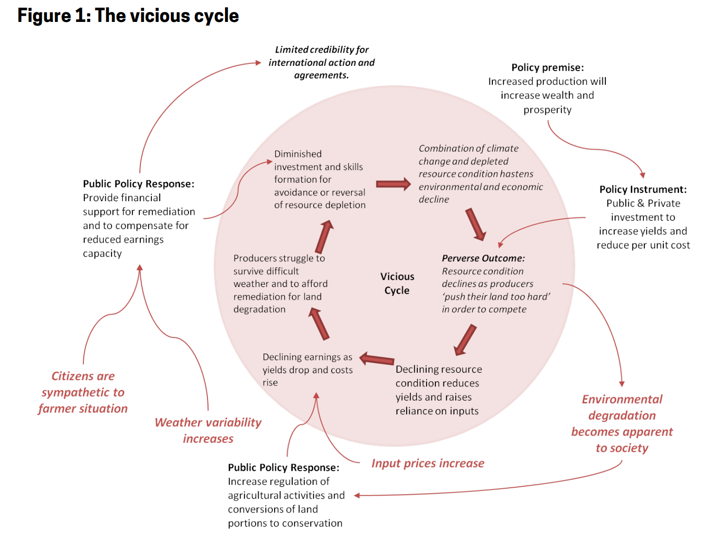 vicious to virtuous cycles a sustainable future