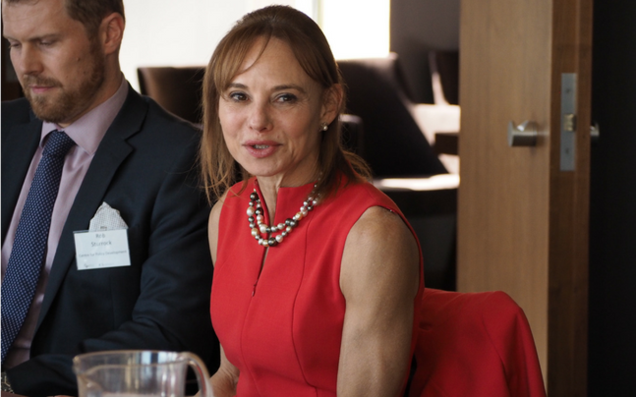 U.S. Expert on Climate change and national security