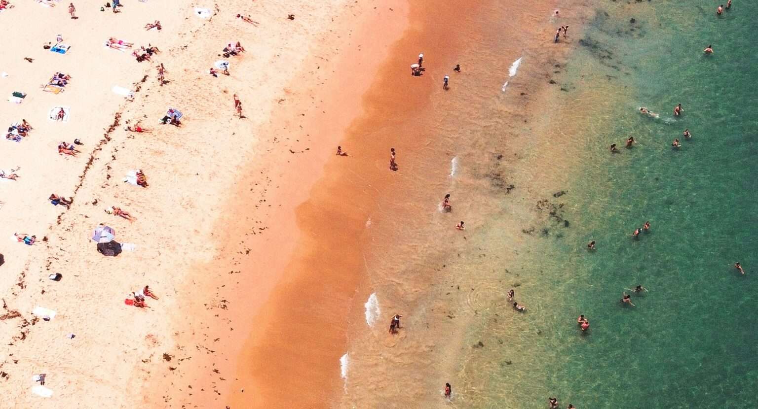 Centre for Policy Development - Create. Connect. Convince.